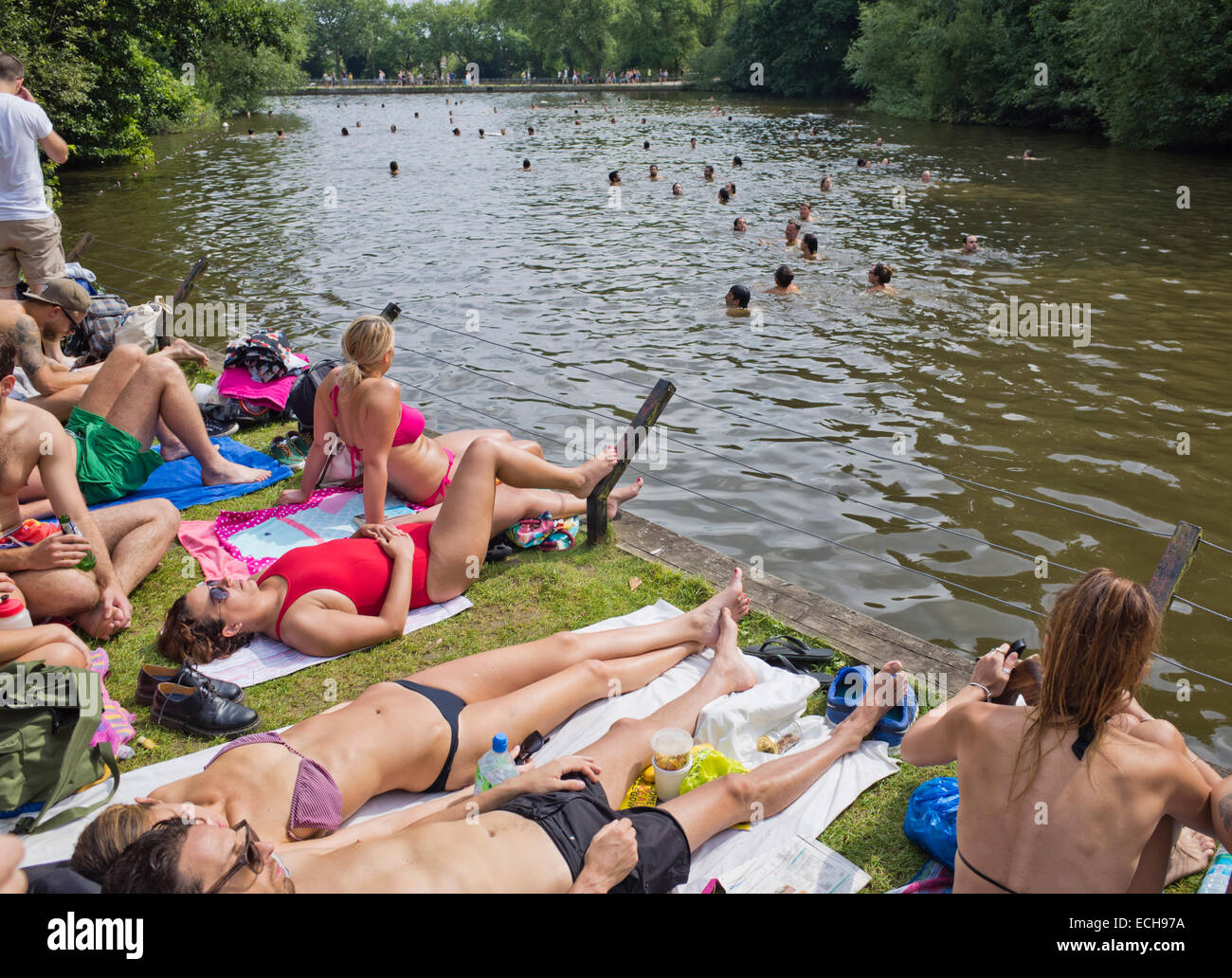 People sunbathing at the Hampstead Heath mixed swimming pond in London UK Stock Photo - Alamy