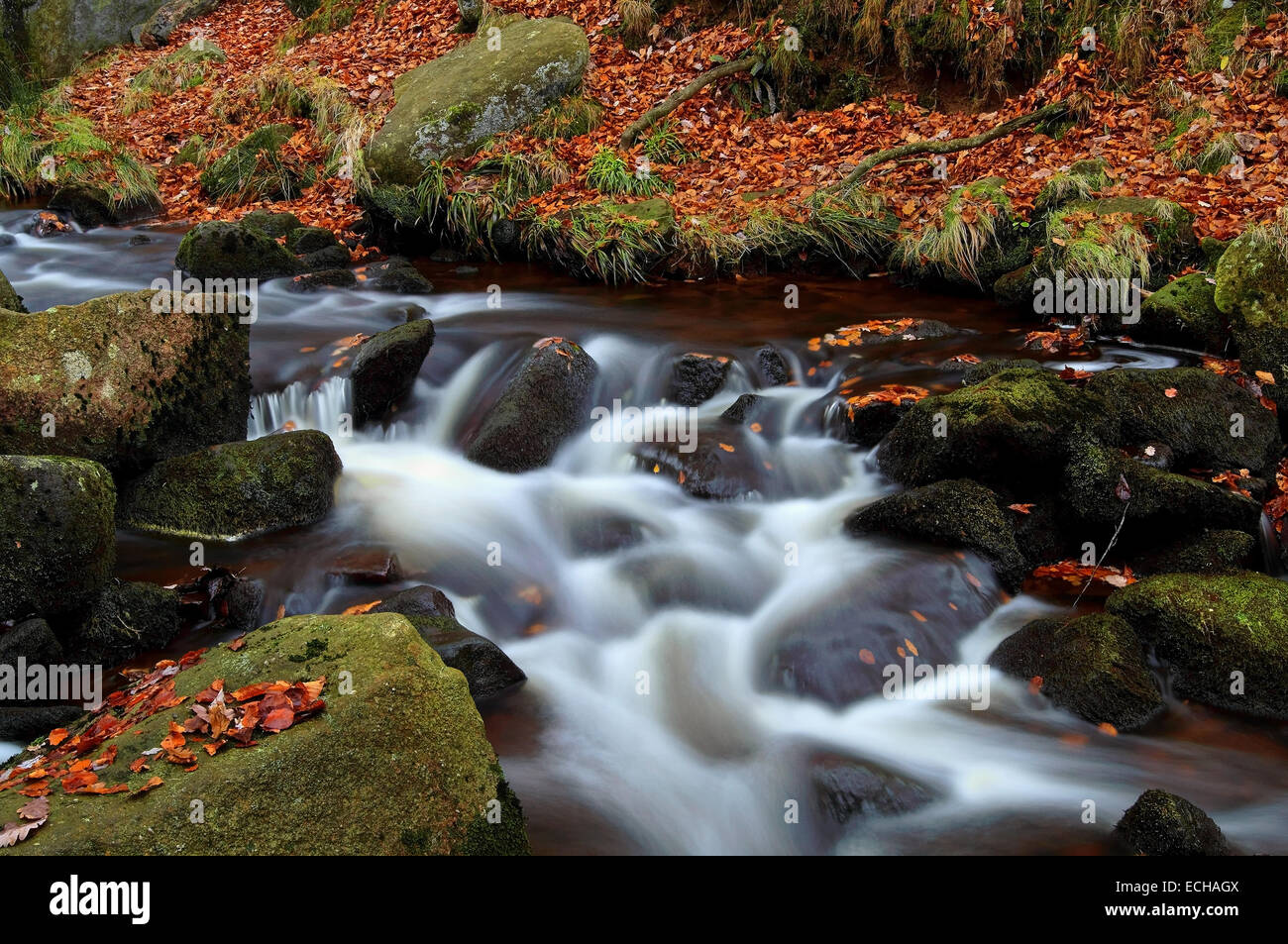 UK,Derbyshire,Peak District,Padley Gorge Waterfalls in Autumn Stock ...