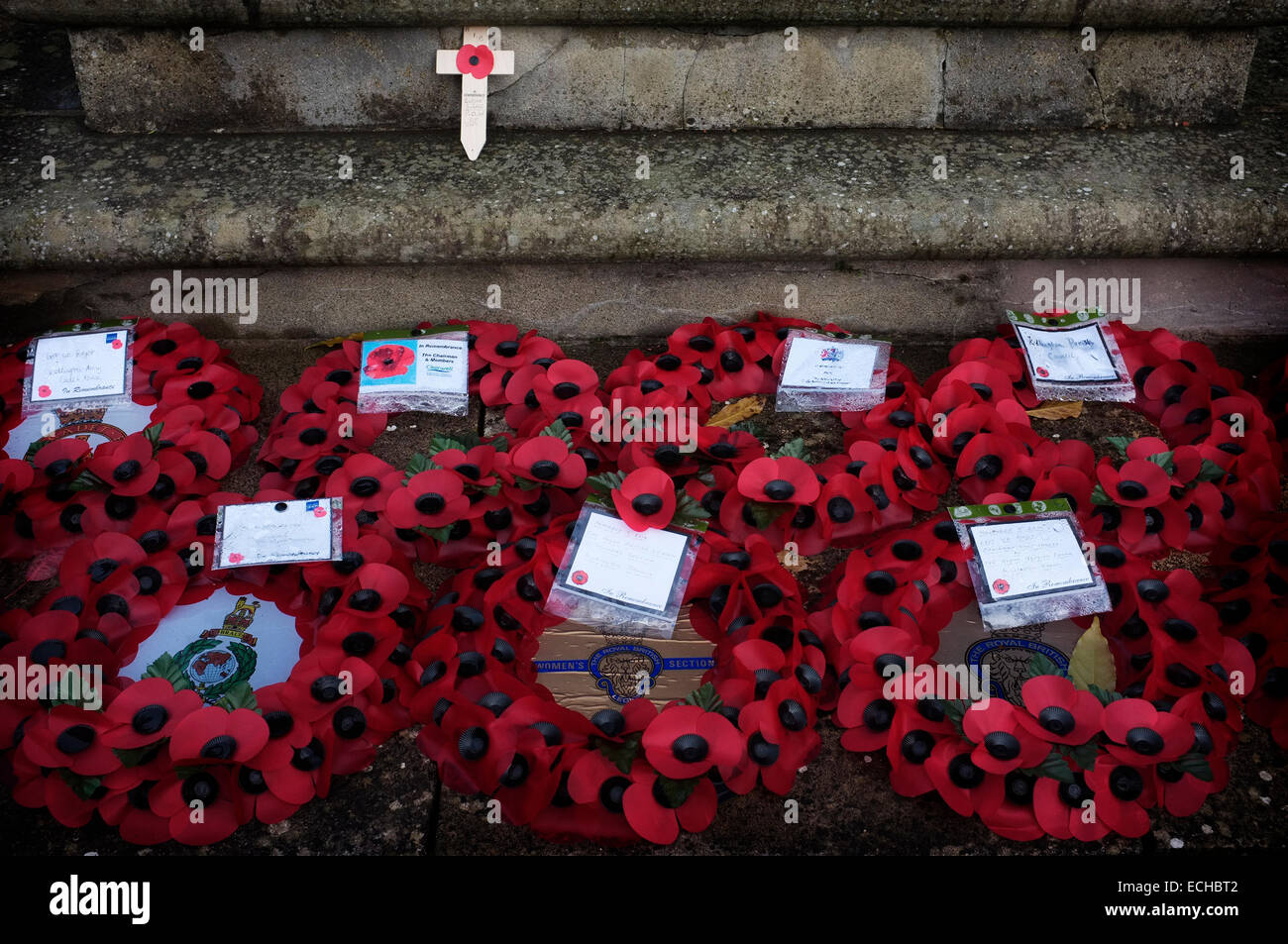 Poppy Appeal High Resolution Stock Photography and Images - Alamy