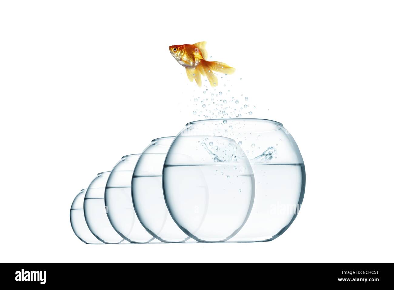 jumping out fish from aquarium on white background Stock Photo - Alamy