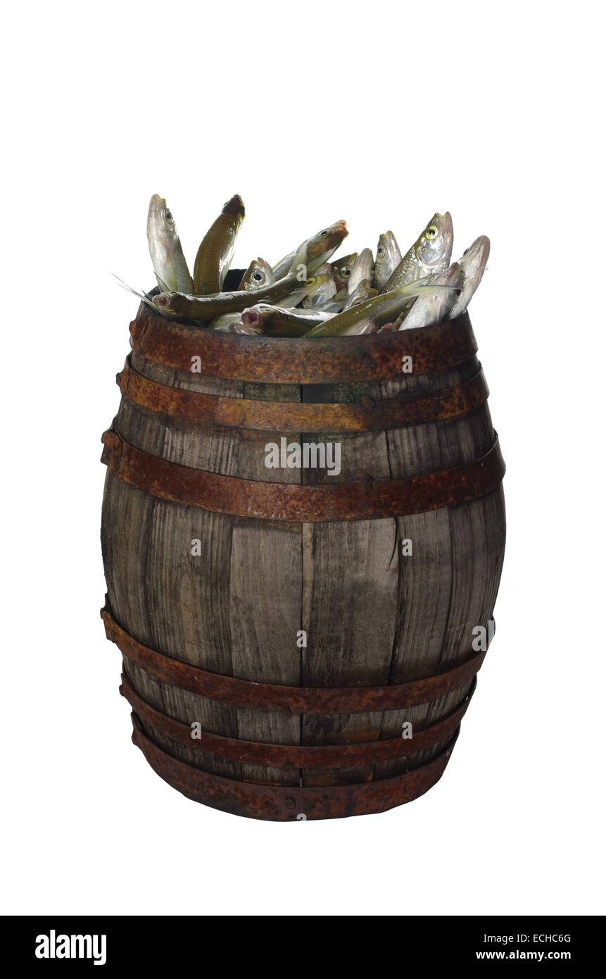 Herring barrel hi-res stock photography and images - Alamy