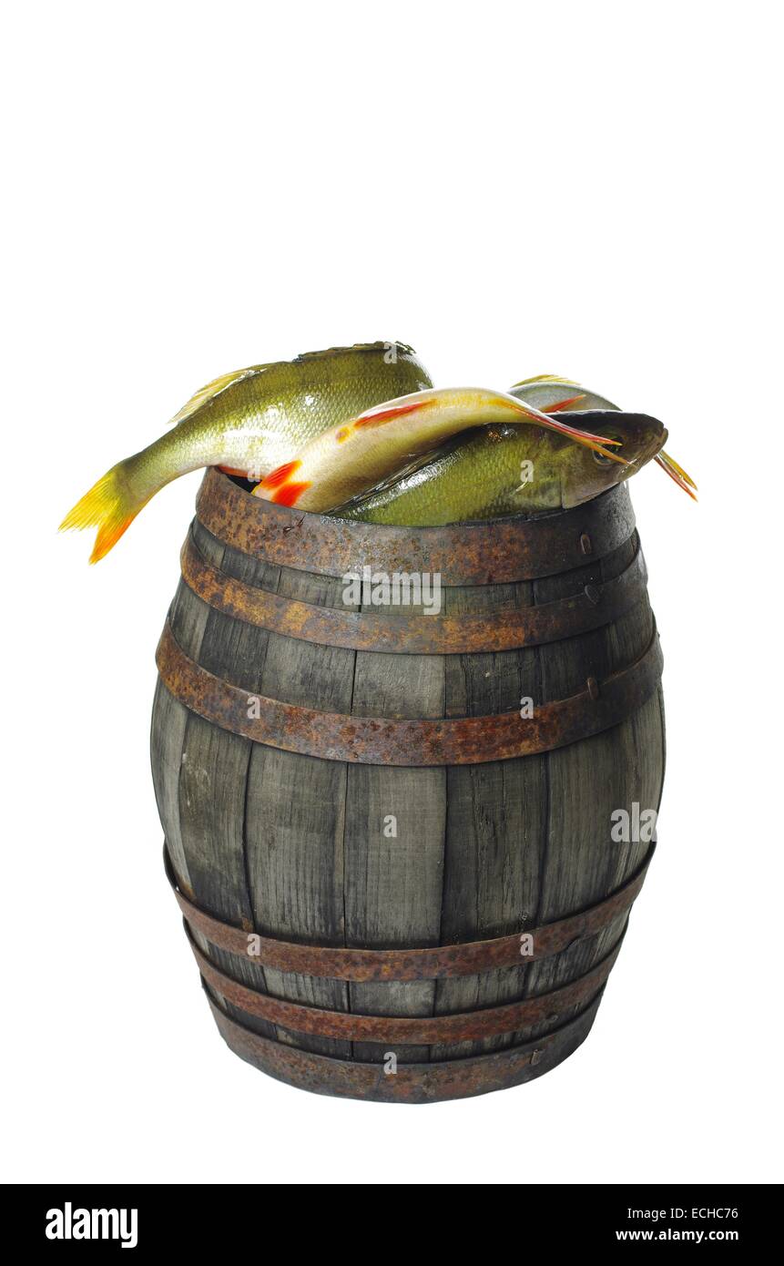 fishes in barrel Stock Photo - Alamy