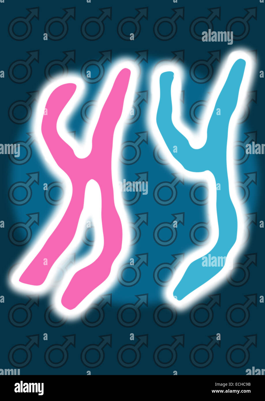 Chromosome hi-res stock photography and images - Alamy
