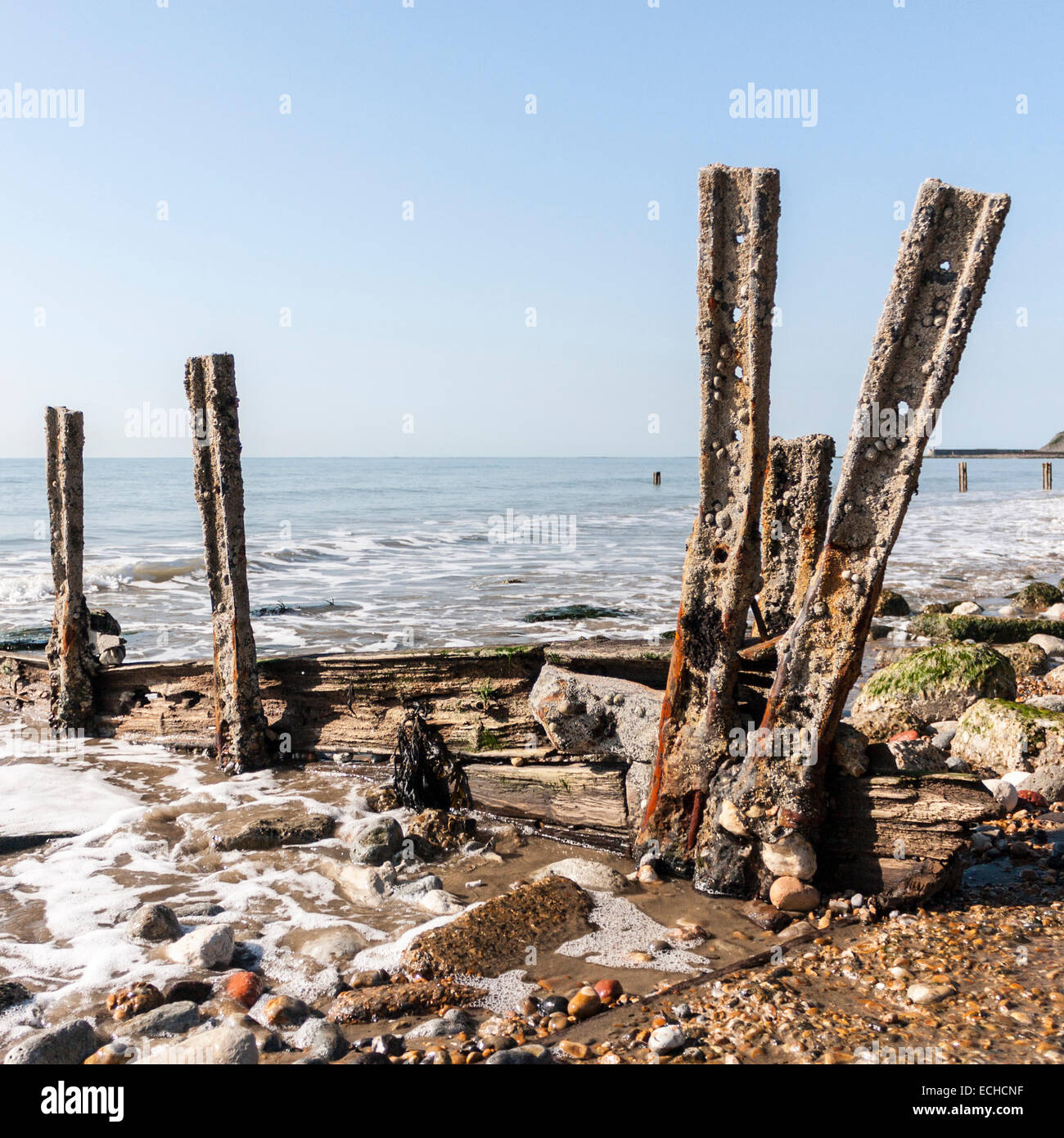Folkestone Warren, summers day UK Stock Photo - Alamy