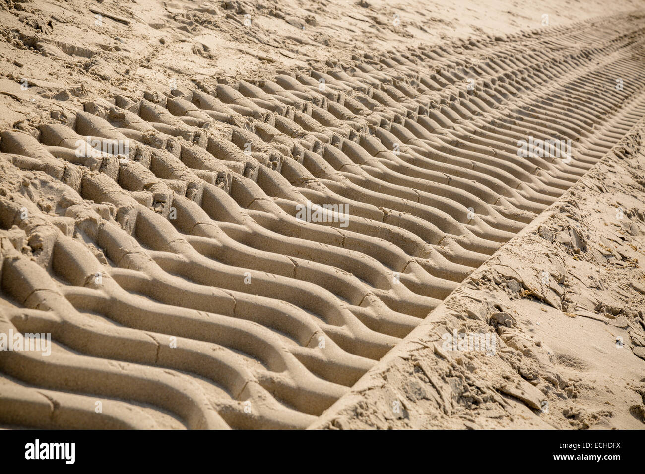 Tractor tyre or tire tacks in sand on a beach Stock Photo - Alamy