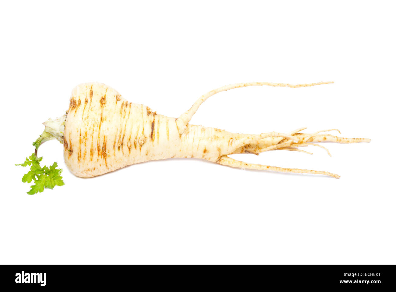 Parsnip isolated on white Stock Photo - Alamy