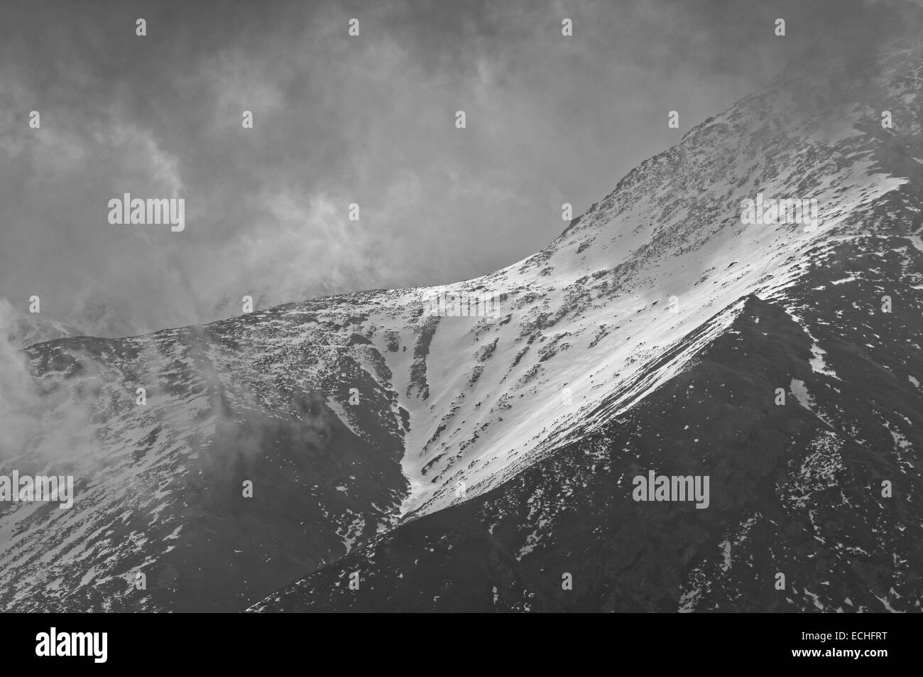 Mighty white hi-res stock photography and images - Alamy