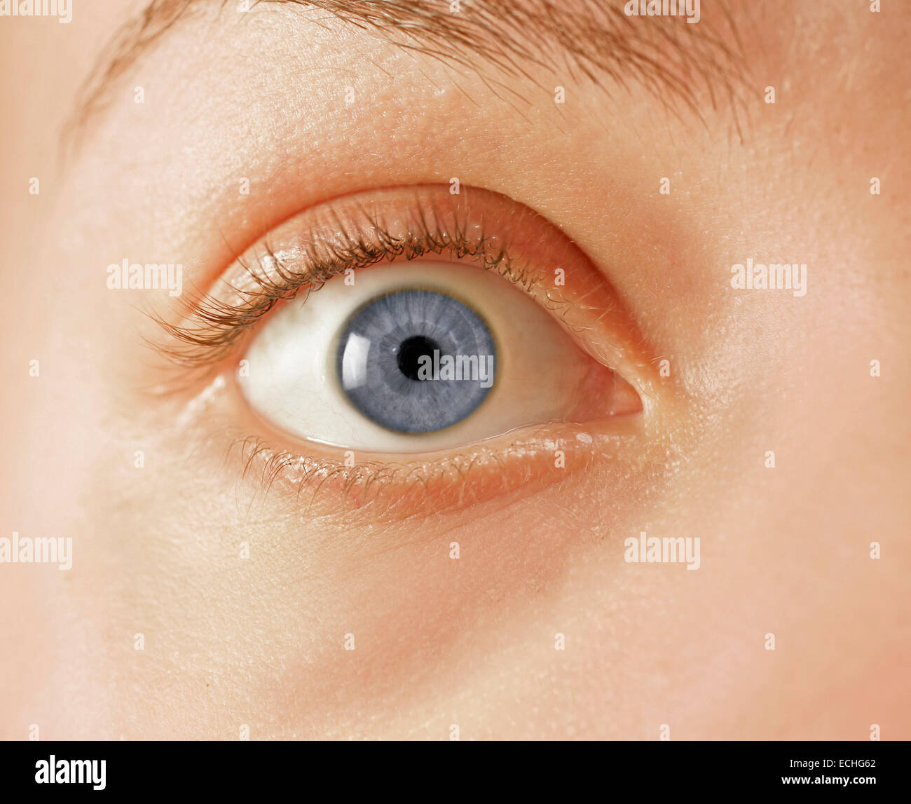 Wide eye hi-res stock photography and images - Alamy