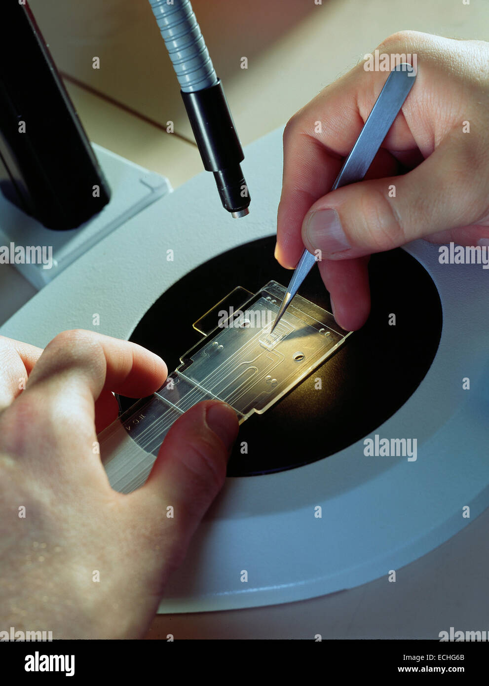 Precise work being done under a microscope Stock Photo - Alamy