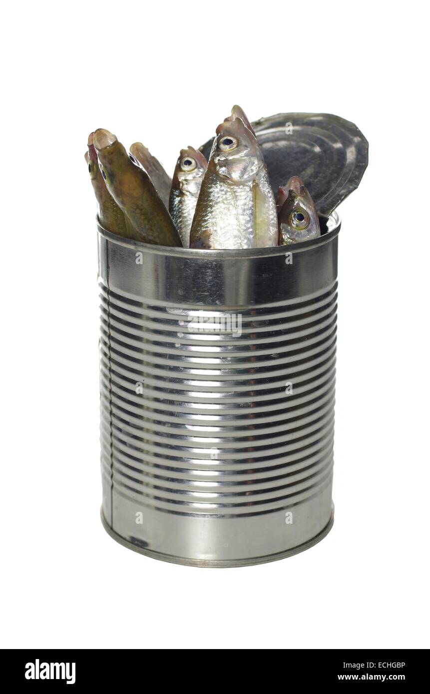 Tin of fish hi-res stock photography and images - Alamy
