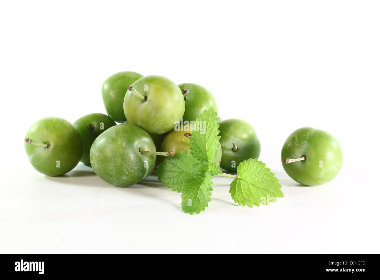fresh green Mirabelle plums on a white background Stock Photo - Alamy