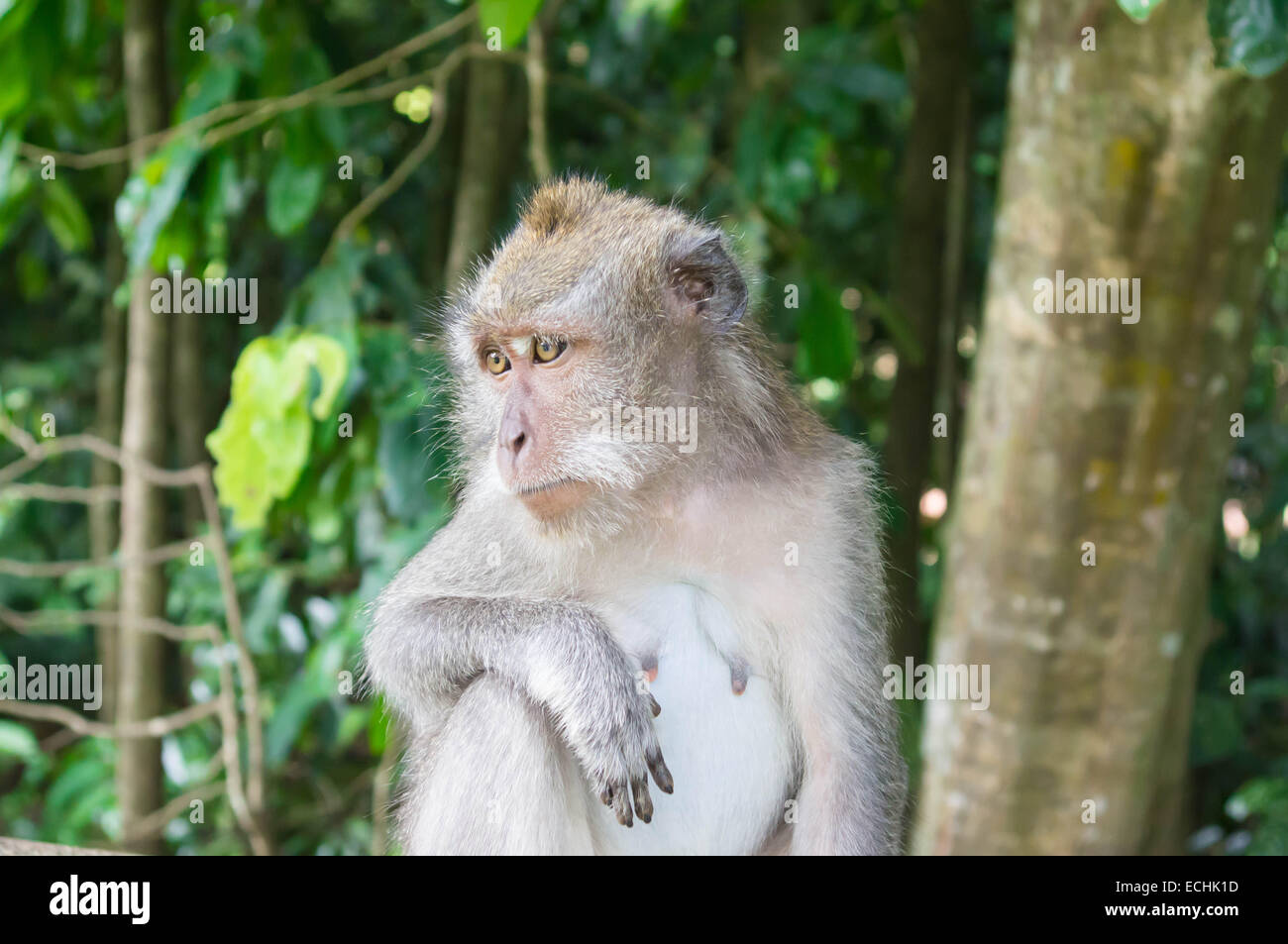 Care wild animal park hi-res stock photography and images - Alamy