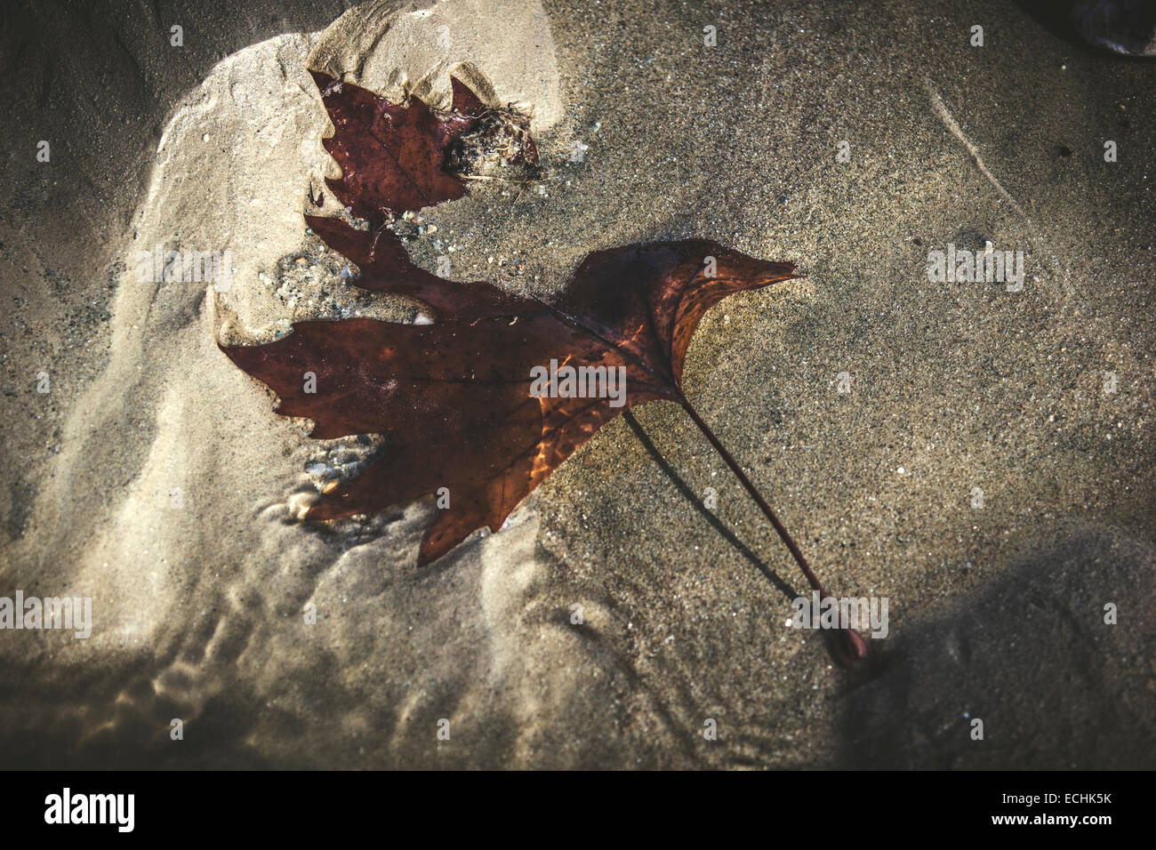 Dead nature hi-res stock photography and images - Alamy