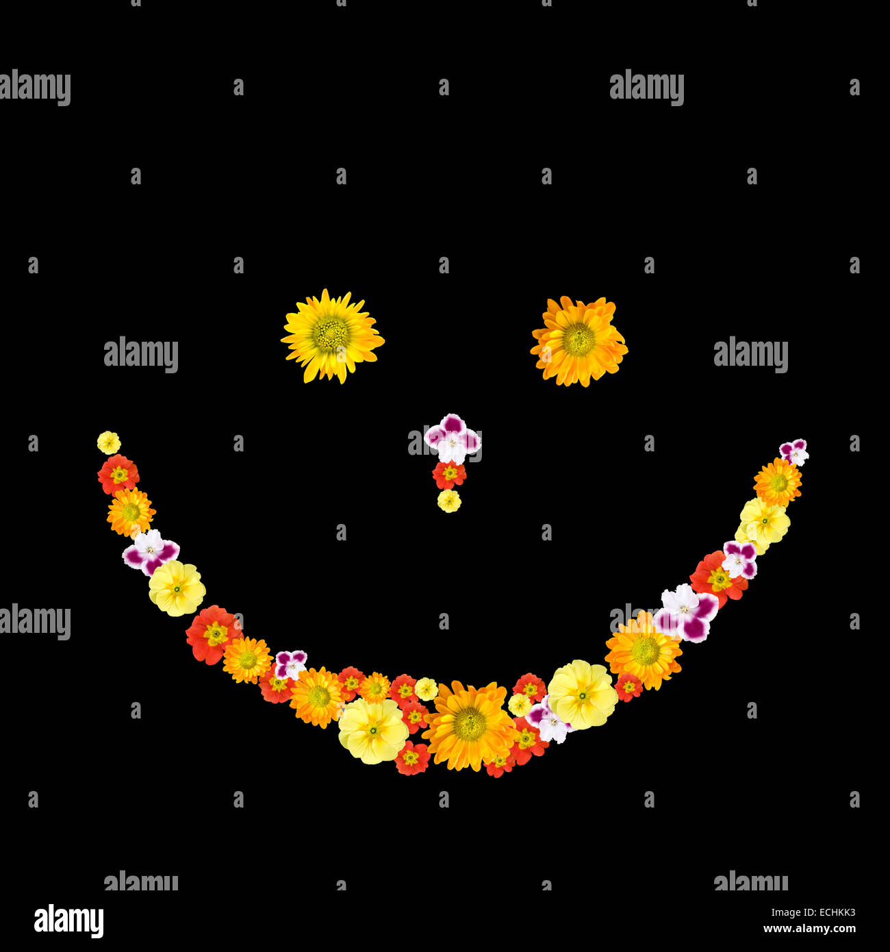 decorative smile symbol from color flowers Stock Photo - Alamy
