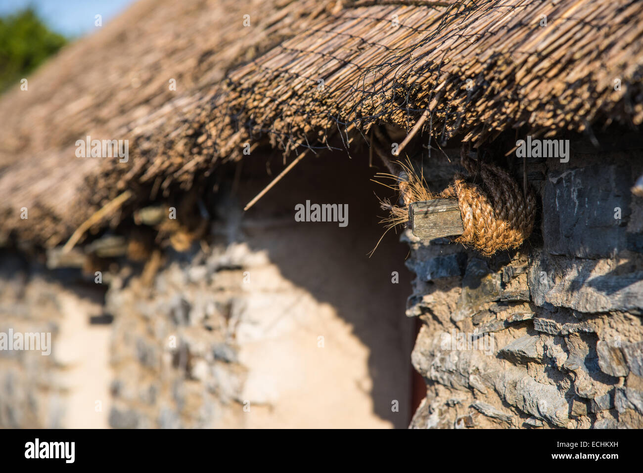 Manx cottage thatched roof, Cregneash, Isle of Man Stock Photo - Alamy