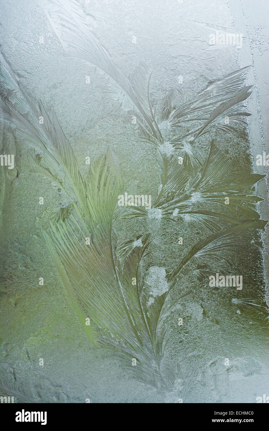 ice on a window Stock Photo - Alamy