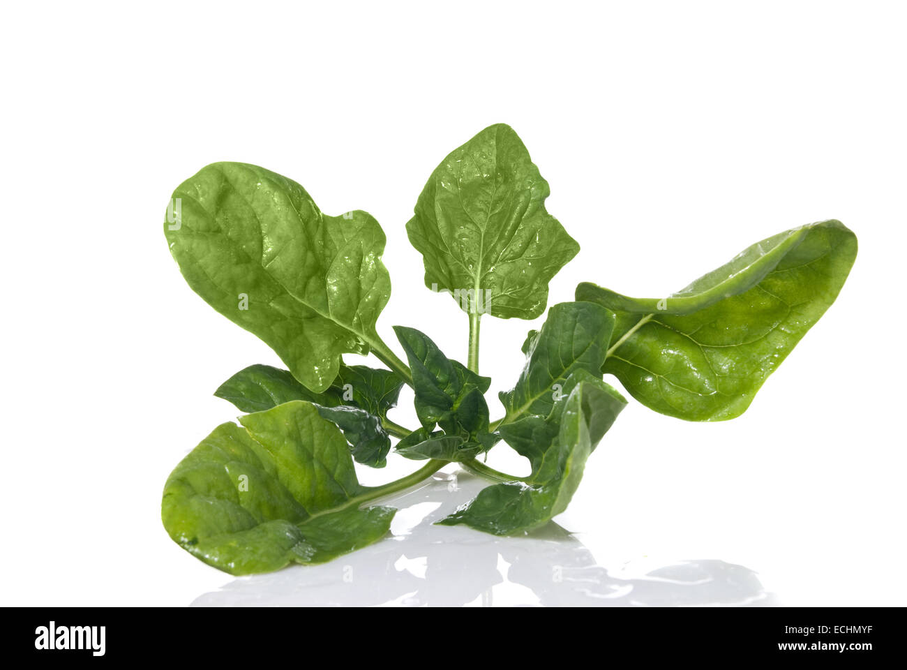 green spinach isolated on white Stock Photo - Alamy