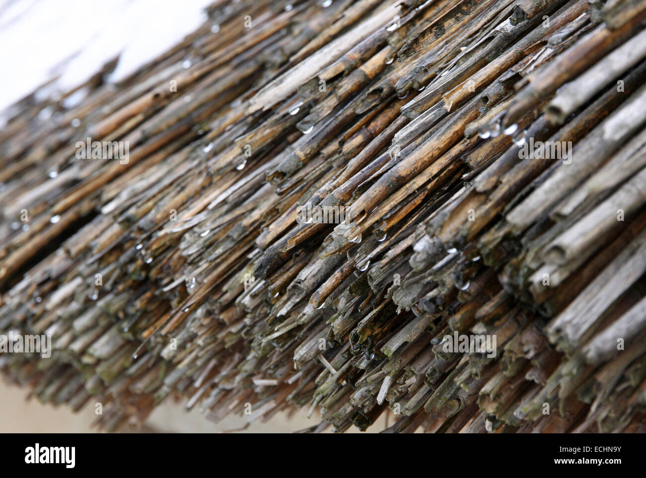 Ukrainian traditional thatched roof house detail of straw eaves ...
