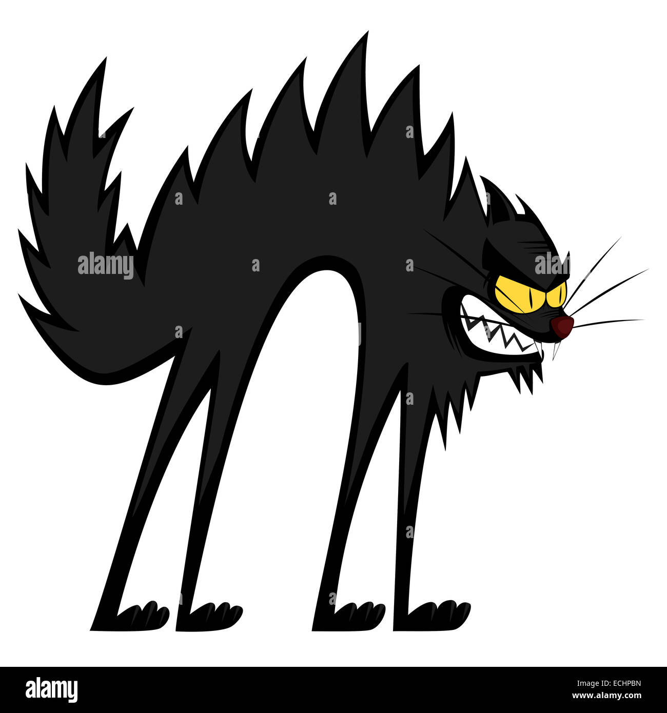 Cat is angry Cut Out Stock Images & Pictures - Alamy