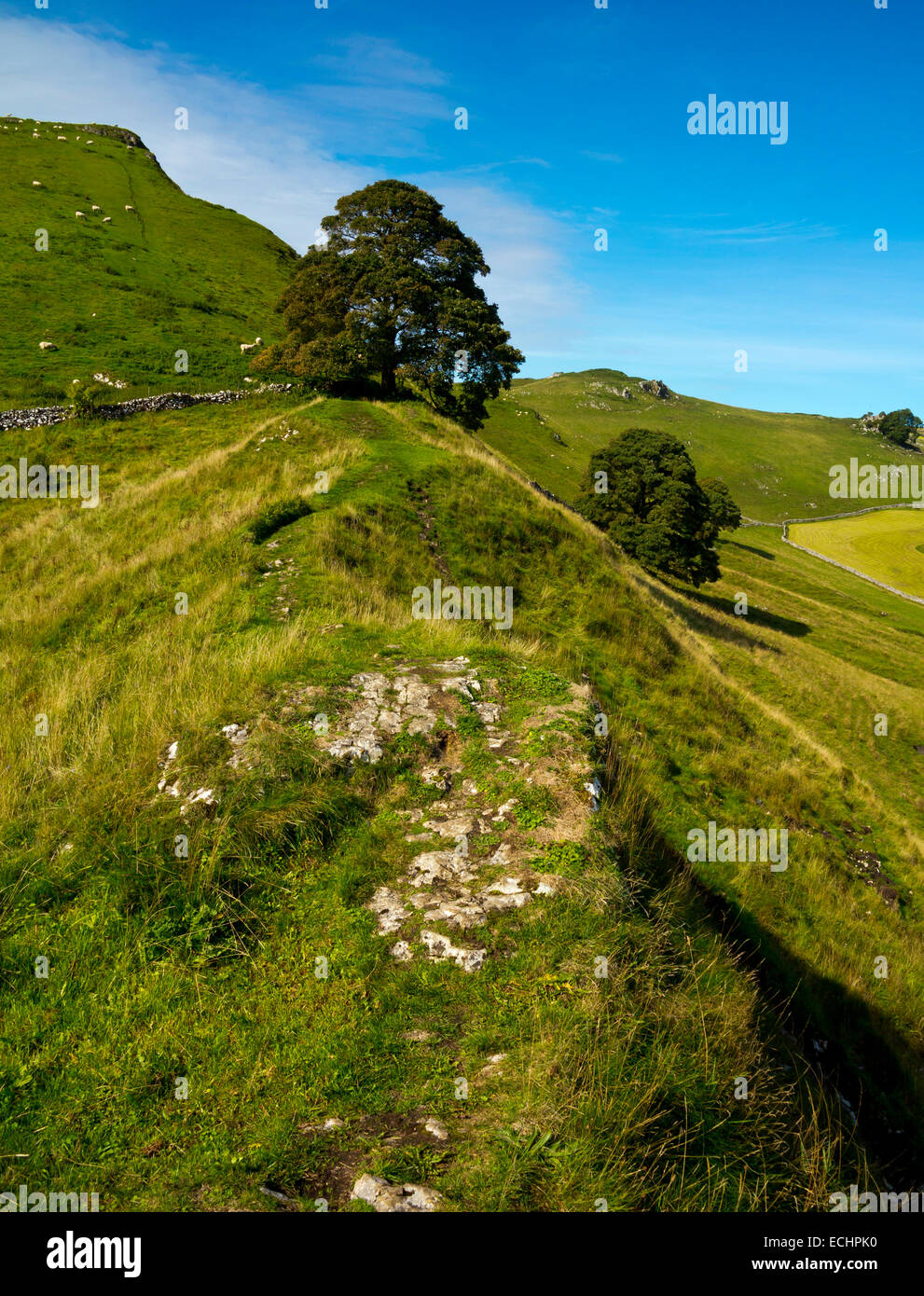Chrome hill limestone reef knoll hi-res stock photography and images ...