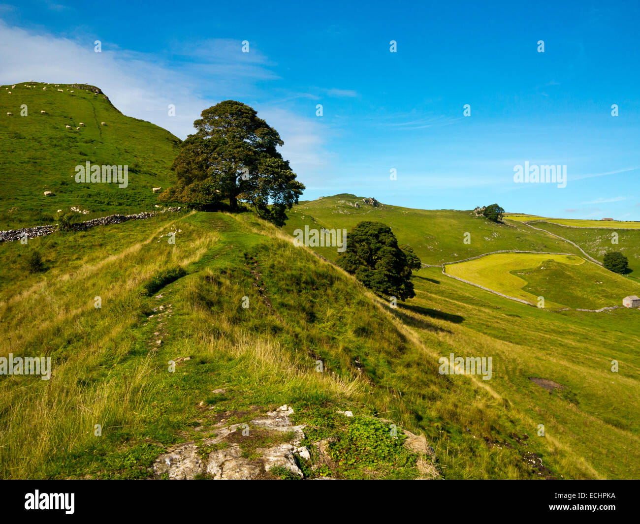 Chrome Hill a limestone reef knoll near Longnor in the Peak District ...