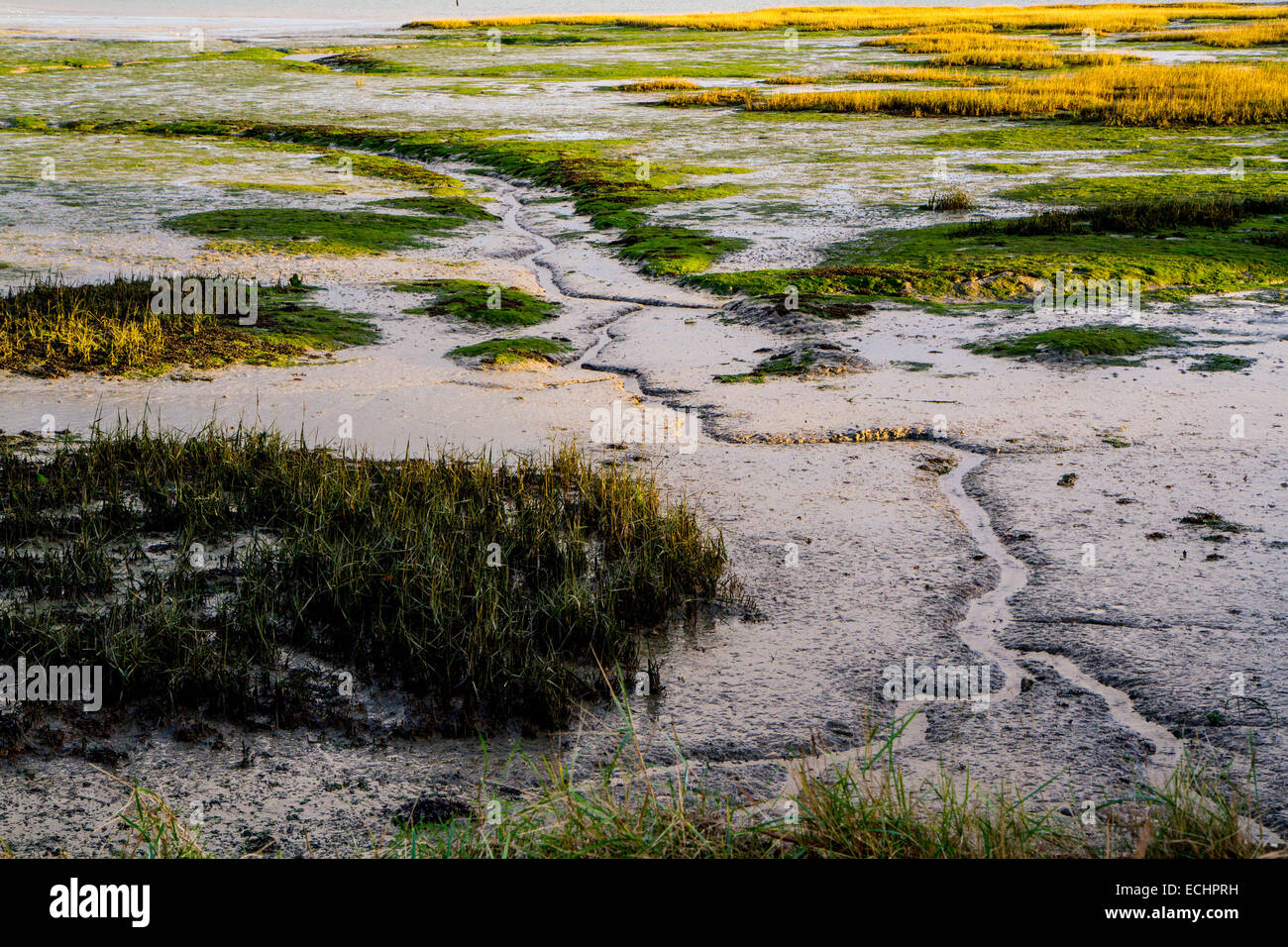 Langstone Mill Hampshire Stock Photo - Alamy