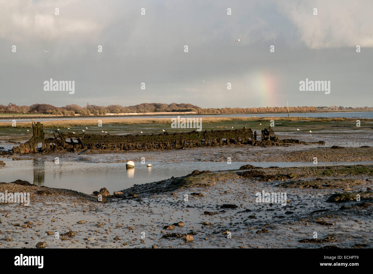 Hampshire windmill hi-res stock photography and images - Alamy