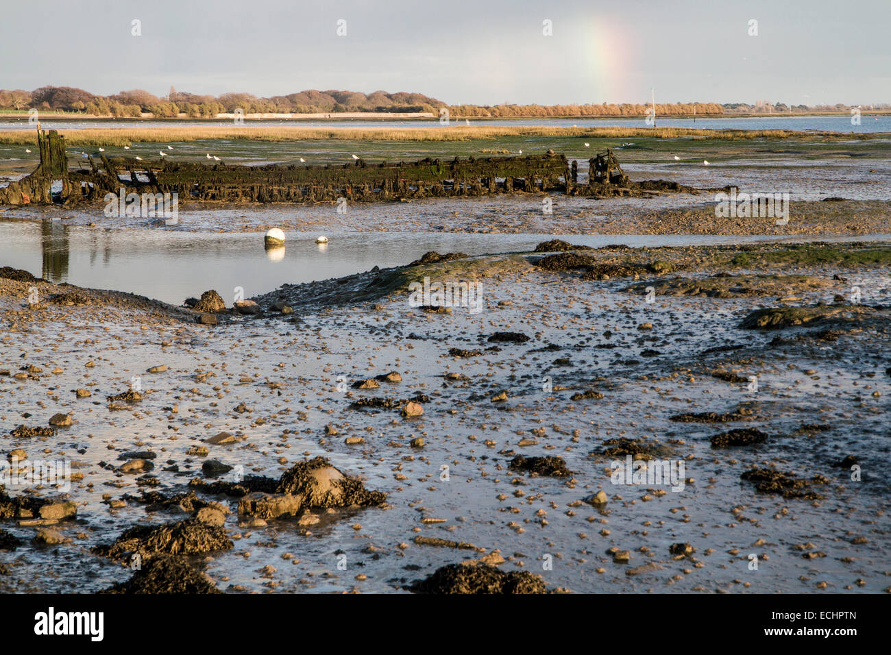 Langstone Mill Hampshire Stock Photo - Alamy
