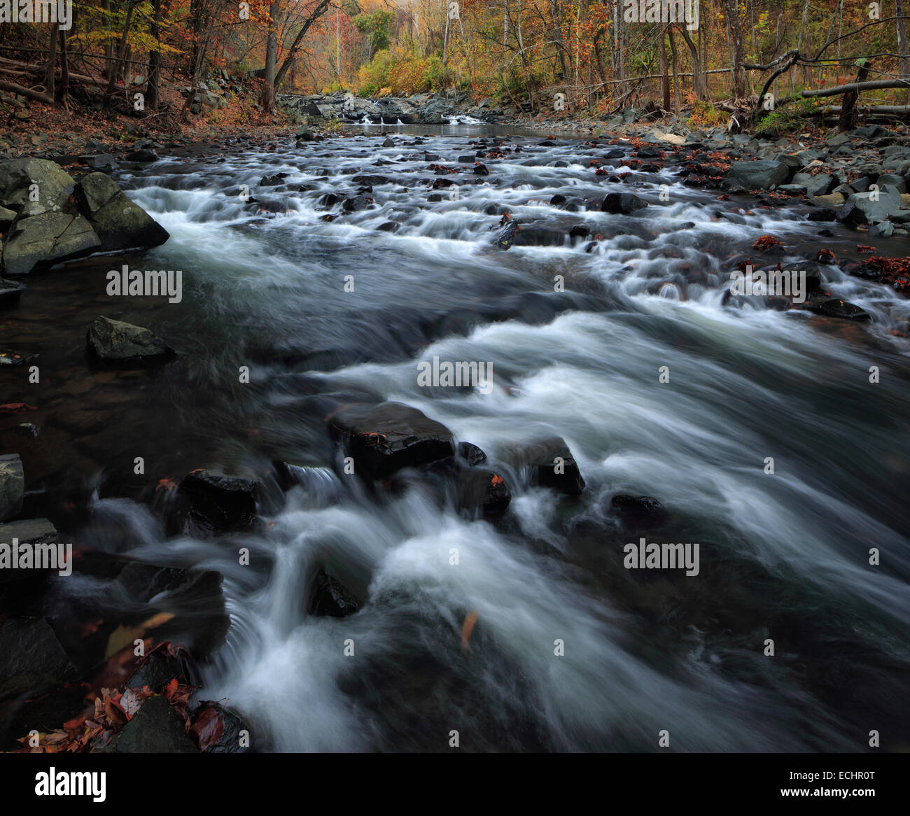 Little Patuxent River in autumn Stock Photo - Alamy