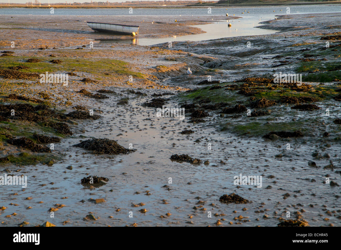 Langstone Mill Hampshire Stock Photo - Alamy