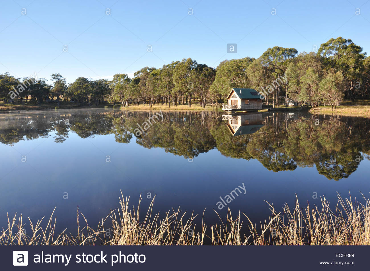 Tenterfield Australia Stock Photos & Tenterfield Australia Stock Images ...