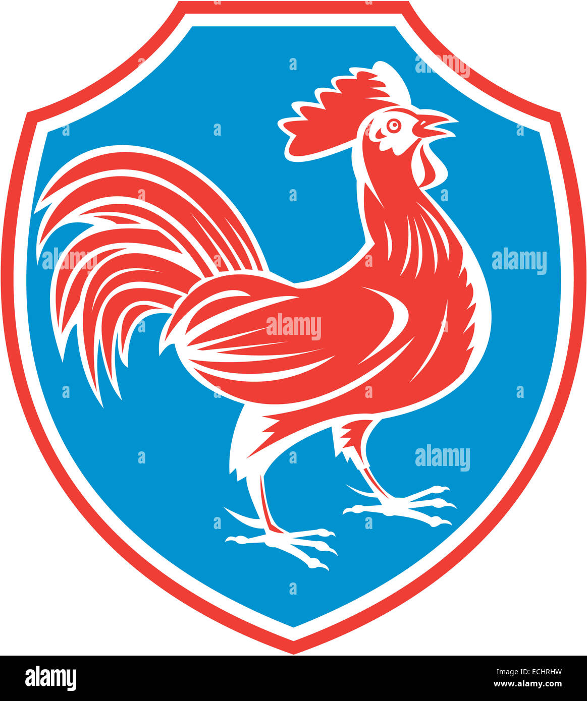 Illustration of a chicken rooster standing viewed from the side set ...