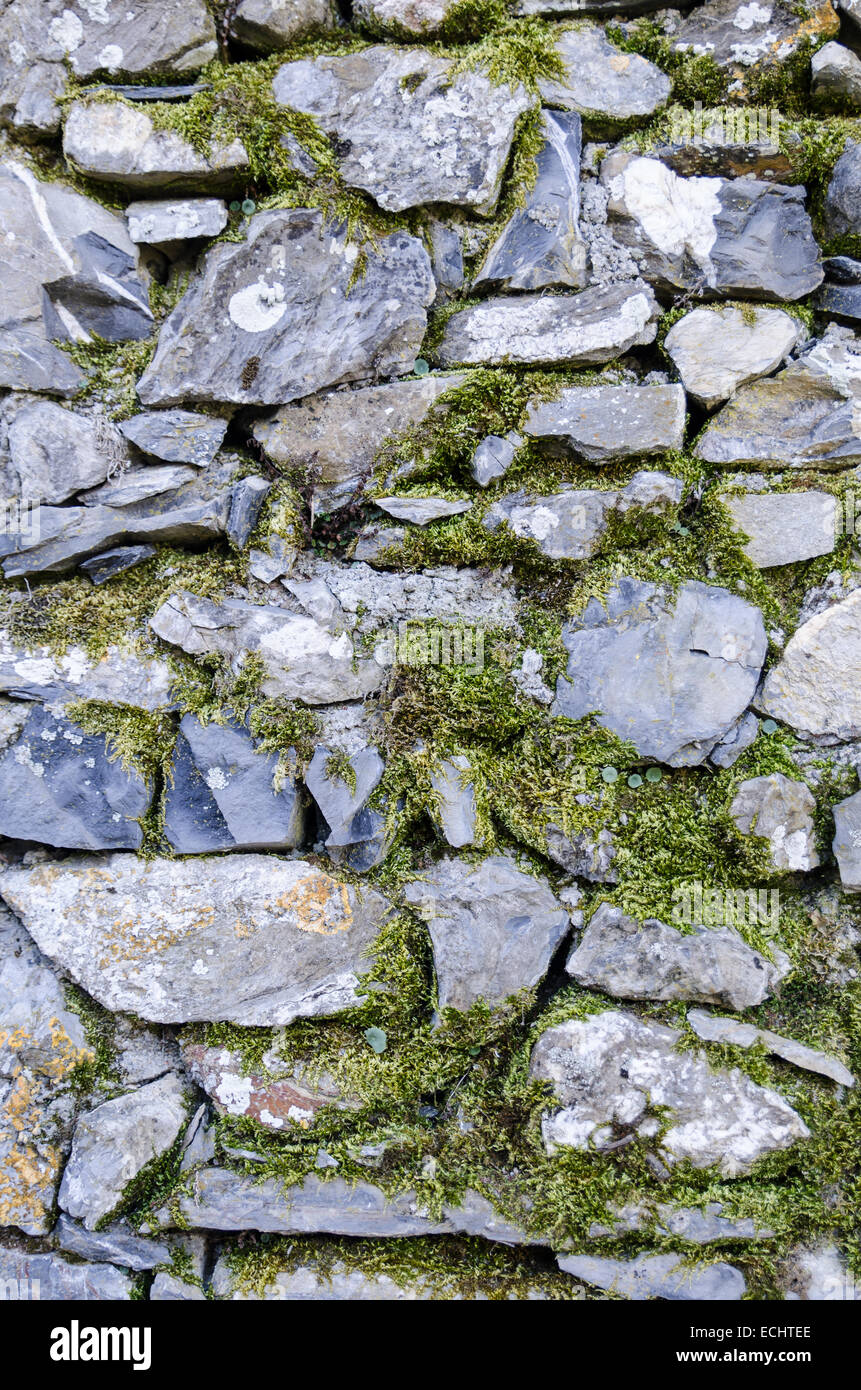 Ancient stone wall and moss in a castle in italy Stock Photo - Alamy