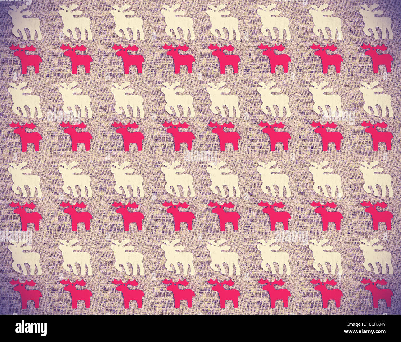 Moose on white background hi-res stock photography and images - Alamy