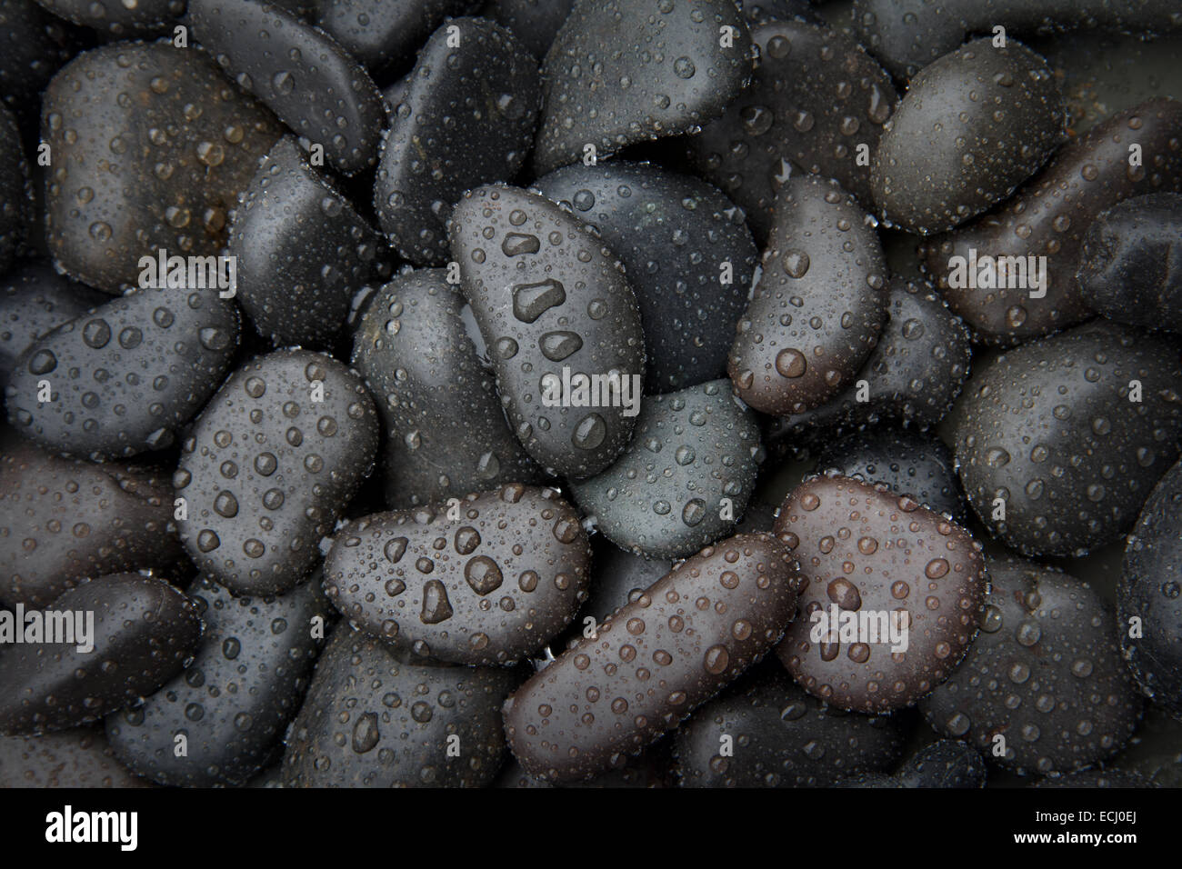 River Stones with Water Drops Stock Photo - Alamy
