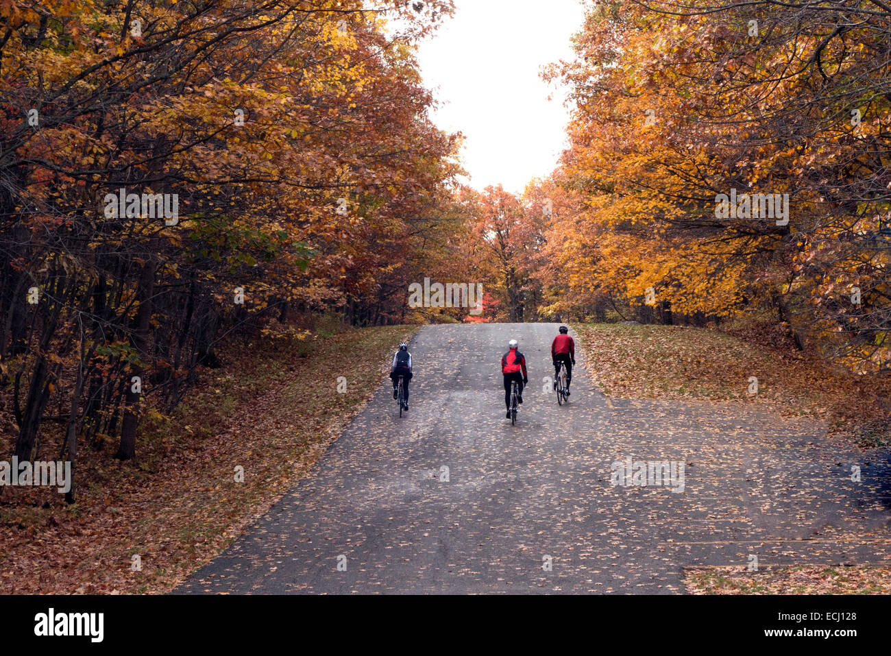 Autumn scene with bike riders Stock Photo - Alamy