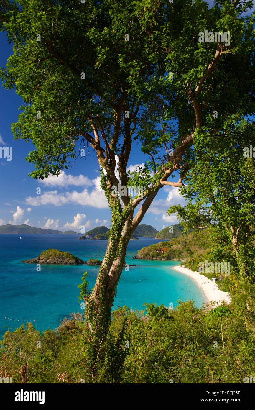 Overlook of bright Caribbean Beach at Trunk Bay, St John, USVI Virgin ...