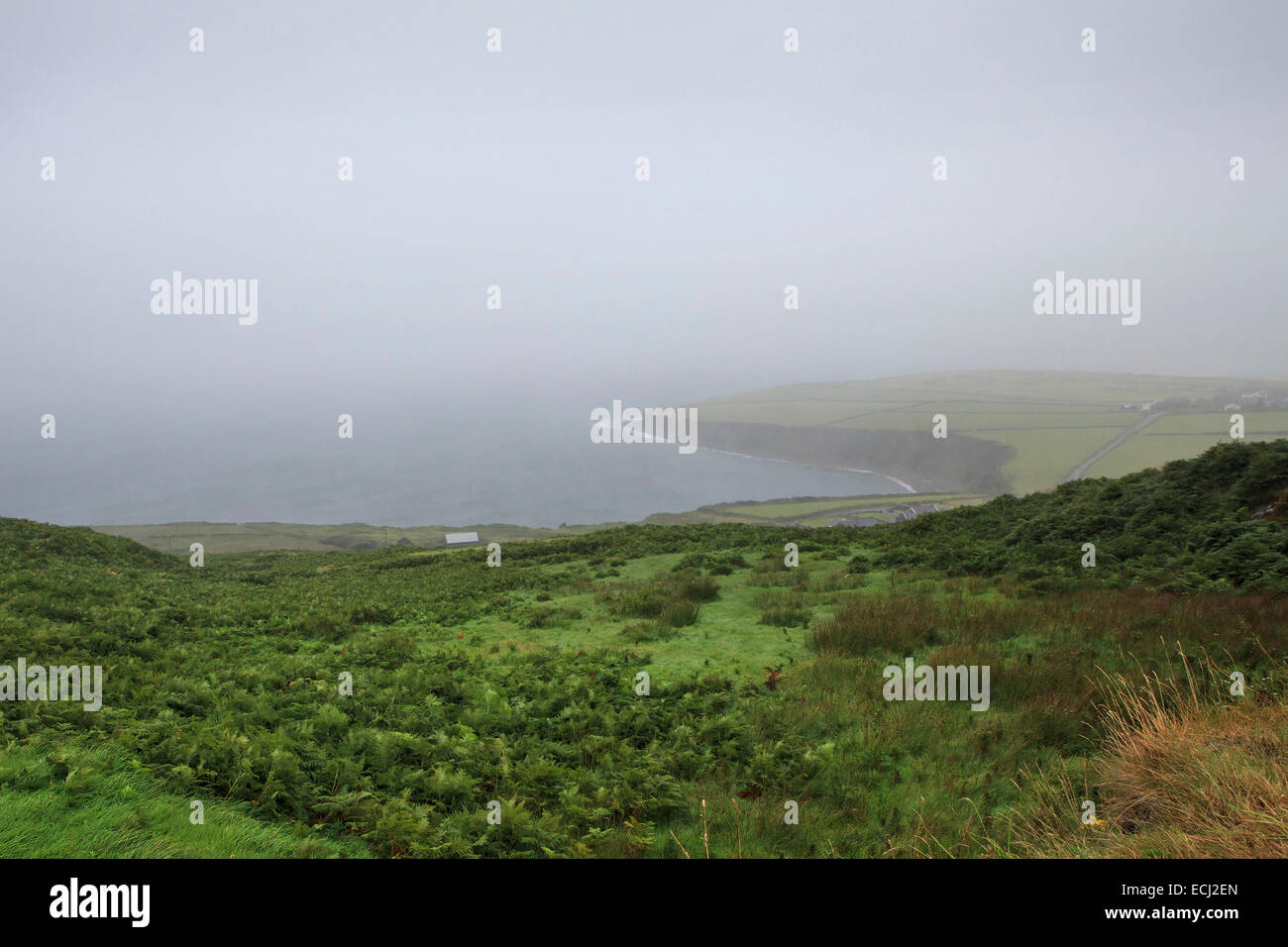 Atlantic coast in the fog Stock Photo - Alamy