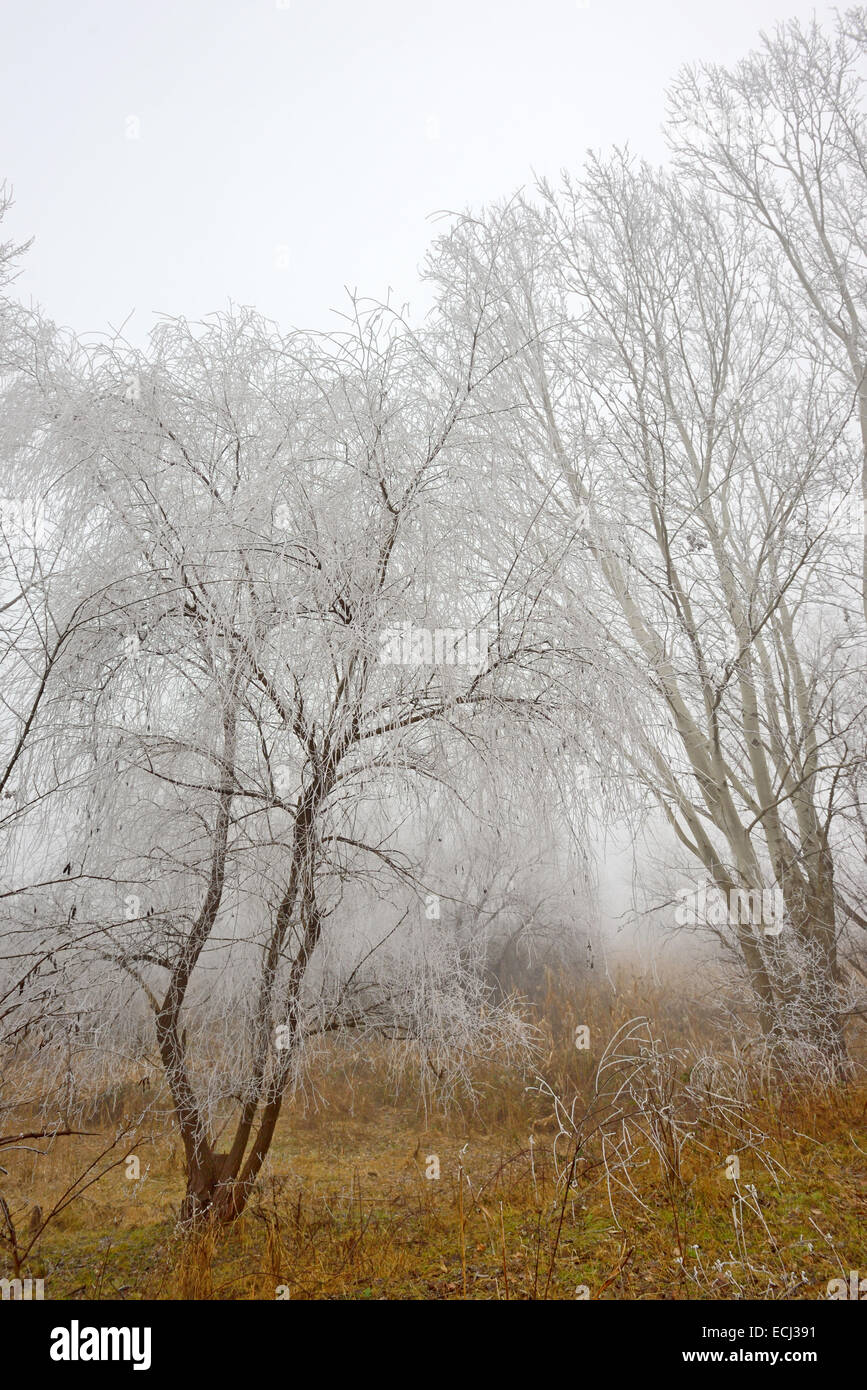 Covered mist hi-res stock photography and images - Alamy