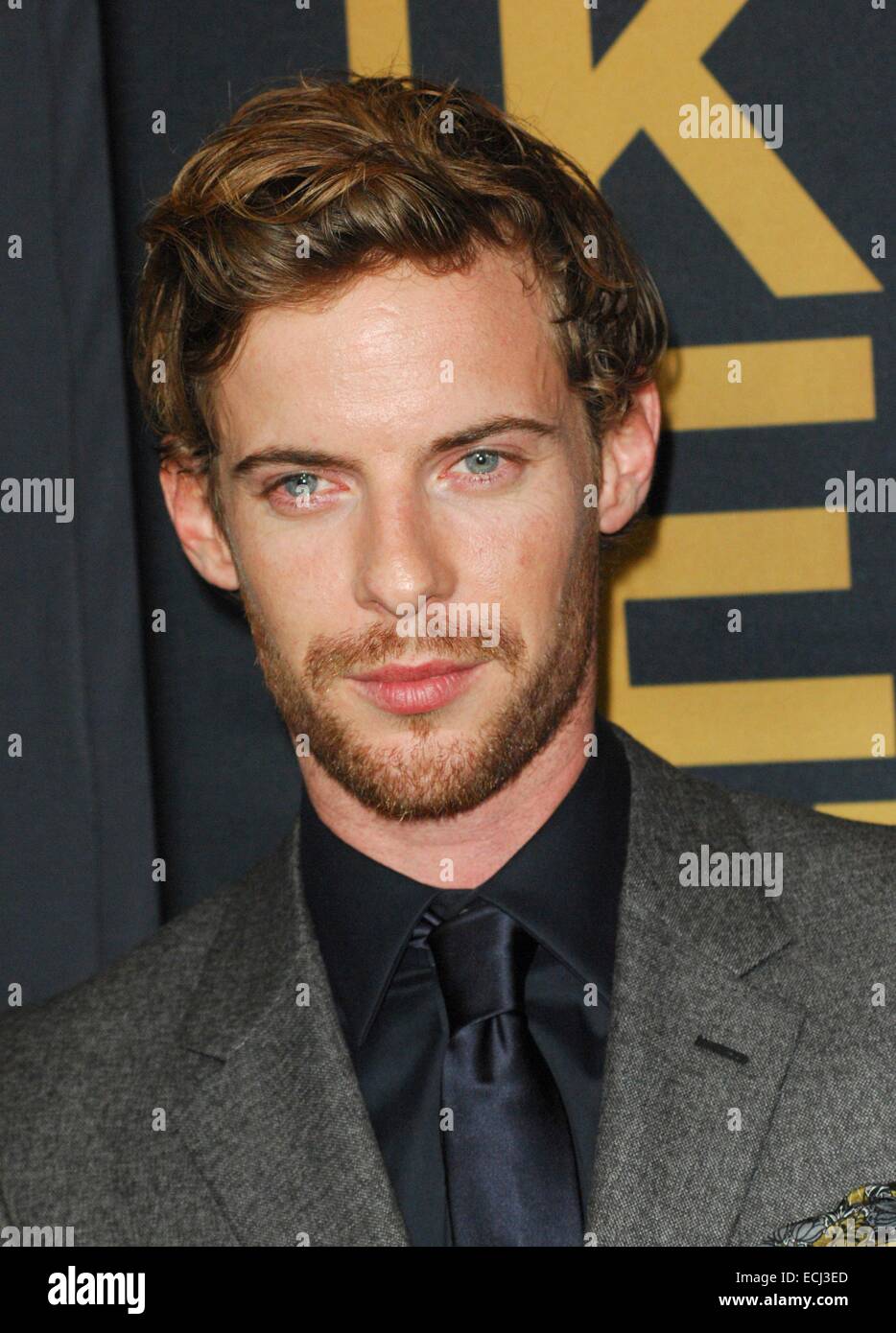 Los Angeles, CA, USA. 15th Dec, 2014. Luke Treadaway at arrivals for ...