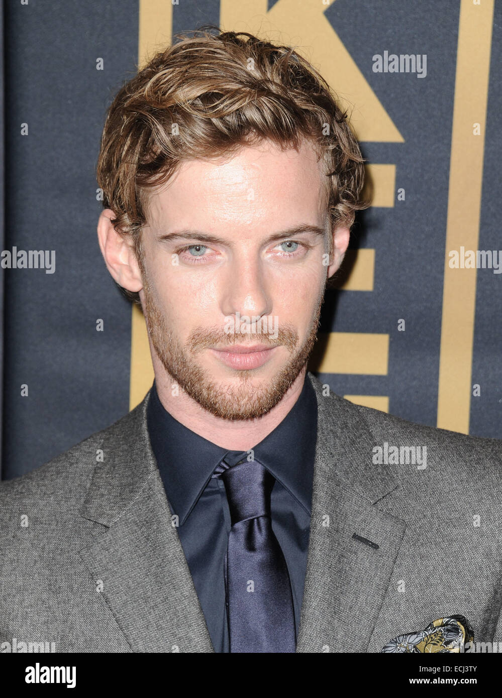 Los Angeles, California, USA. 15th Dec, 2014. Luke Treadaway attending ...