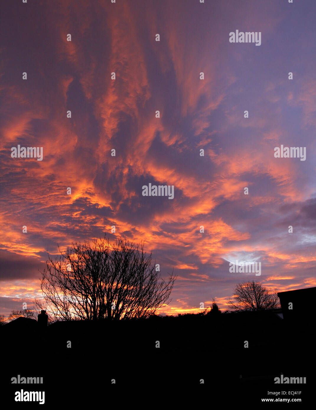 Glorious pink sunset over rooftops hi-res stock photography and images ...