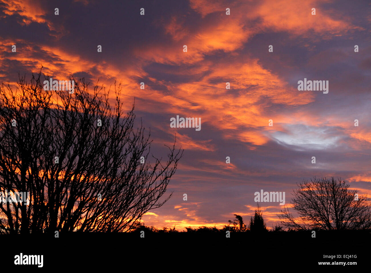 Glorious pink sunset over rooftops hi-res stock photography and images ...