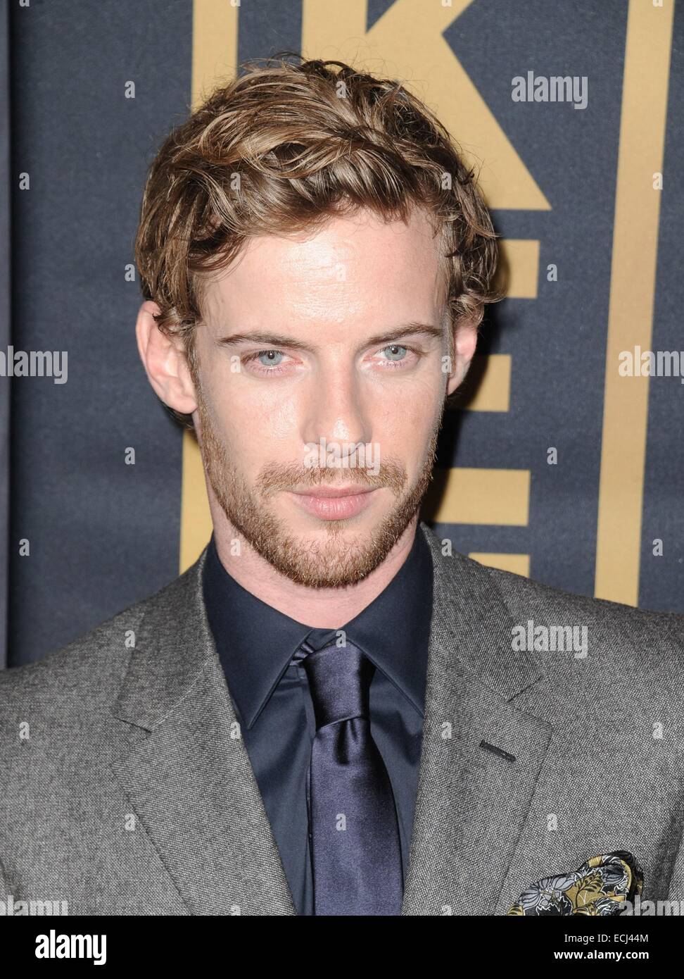 Los Angeles, CA, USA. 15th Dec, 2014. Luke Treadaway at arrivals for ...