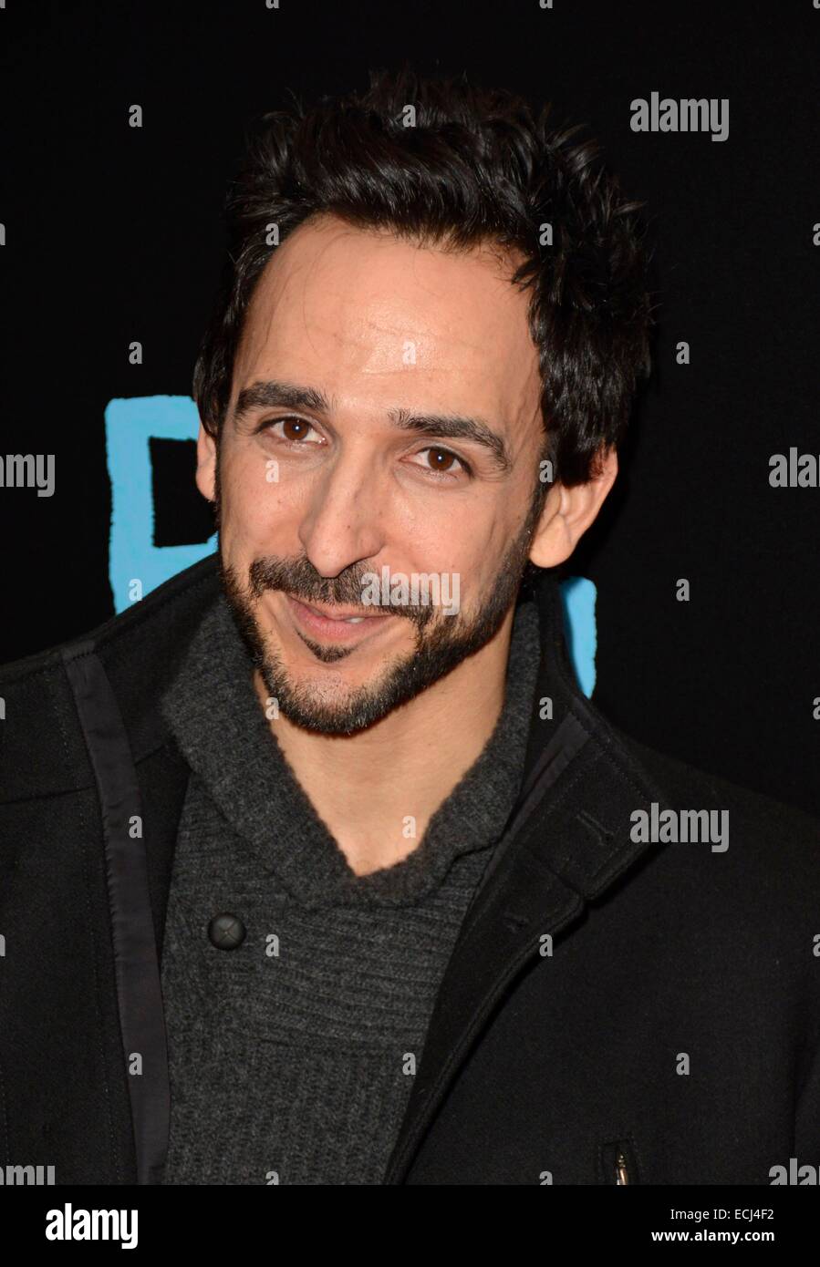 New York, NY, USA. 15th Dec, 2014. Amir Arison at arrivals for BIG EYES ...