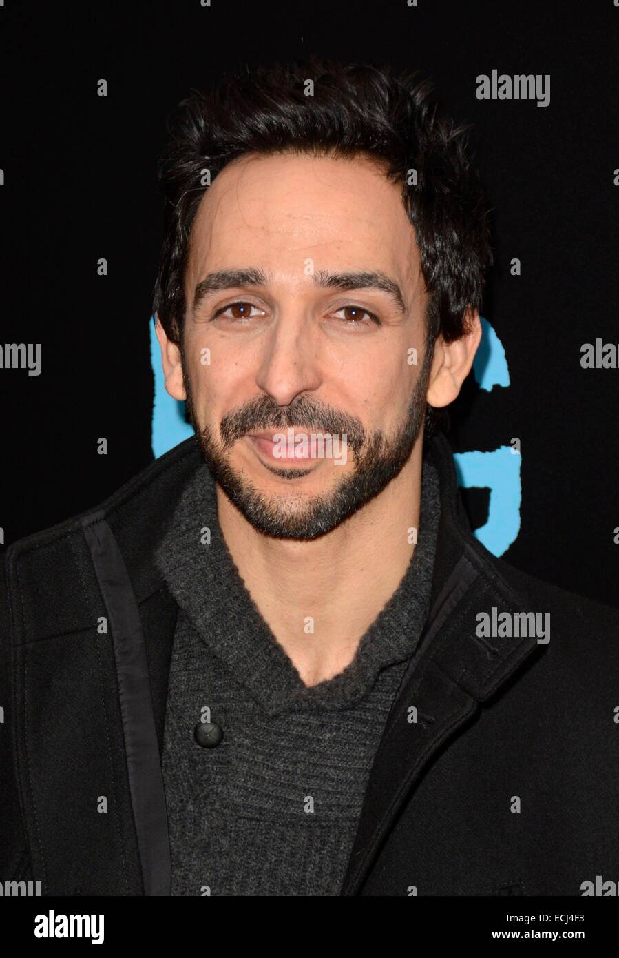 New York, NY, USA. 15th Dec, 2014. Amir Arison at arrivals for BIG EYES ...