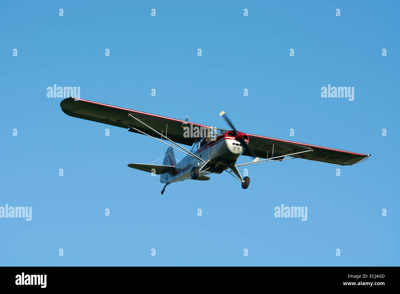 Auster 5. G-ALBK Stock Photo - Alamy