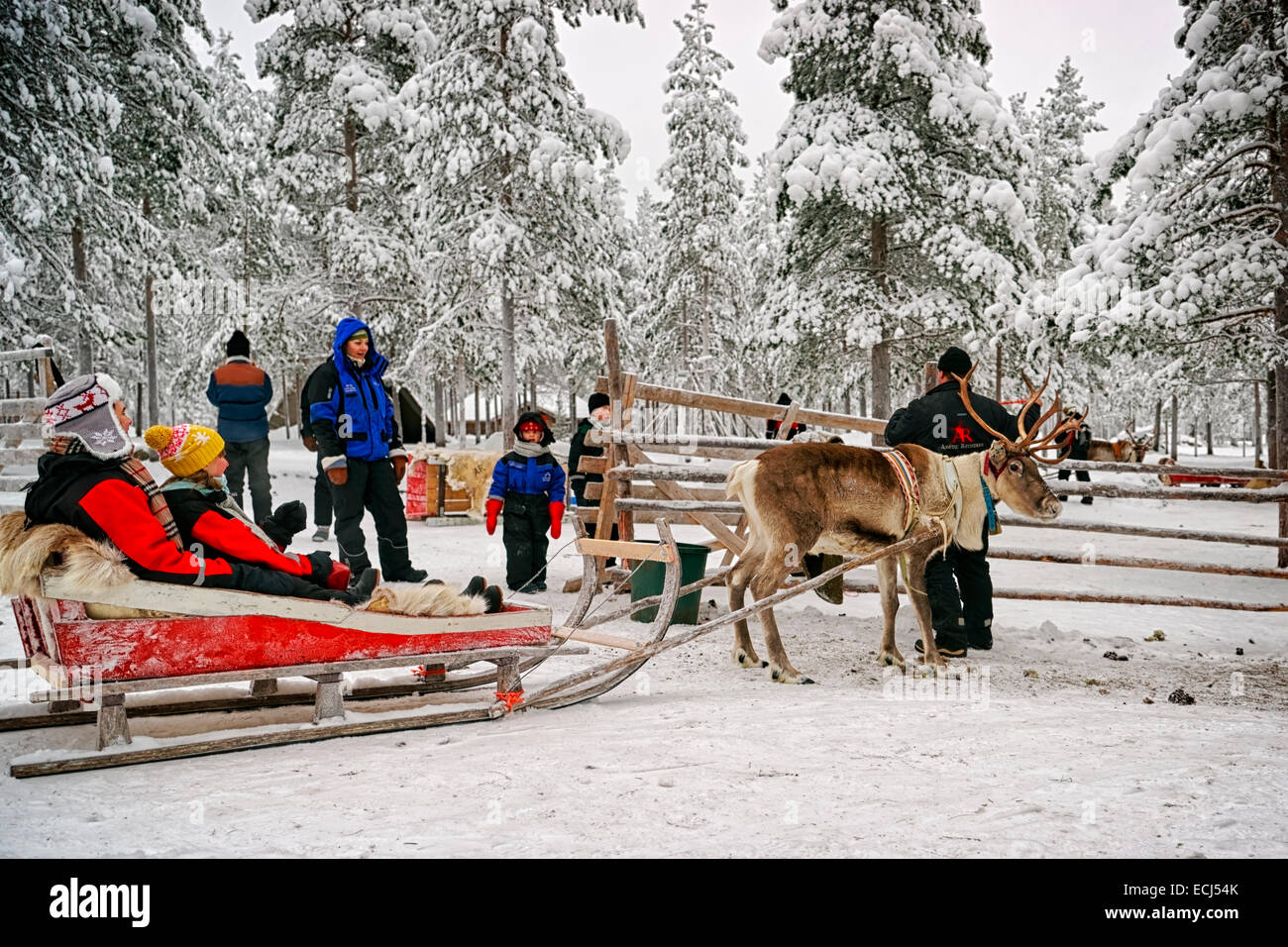 Rovanimi, Finland - December 30, 2010: Preparing to the race on the ...