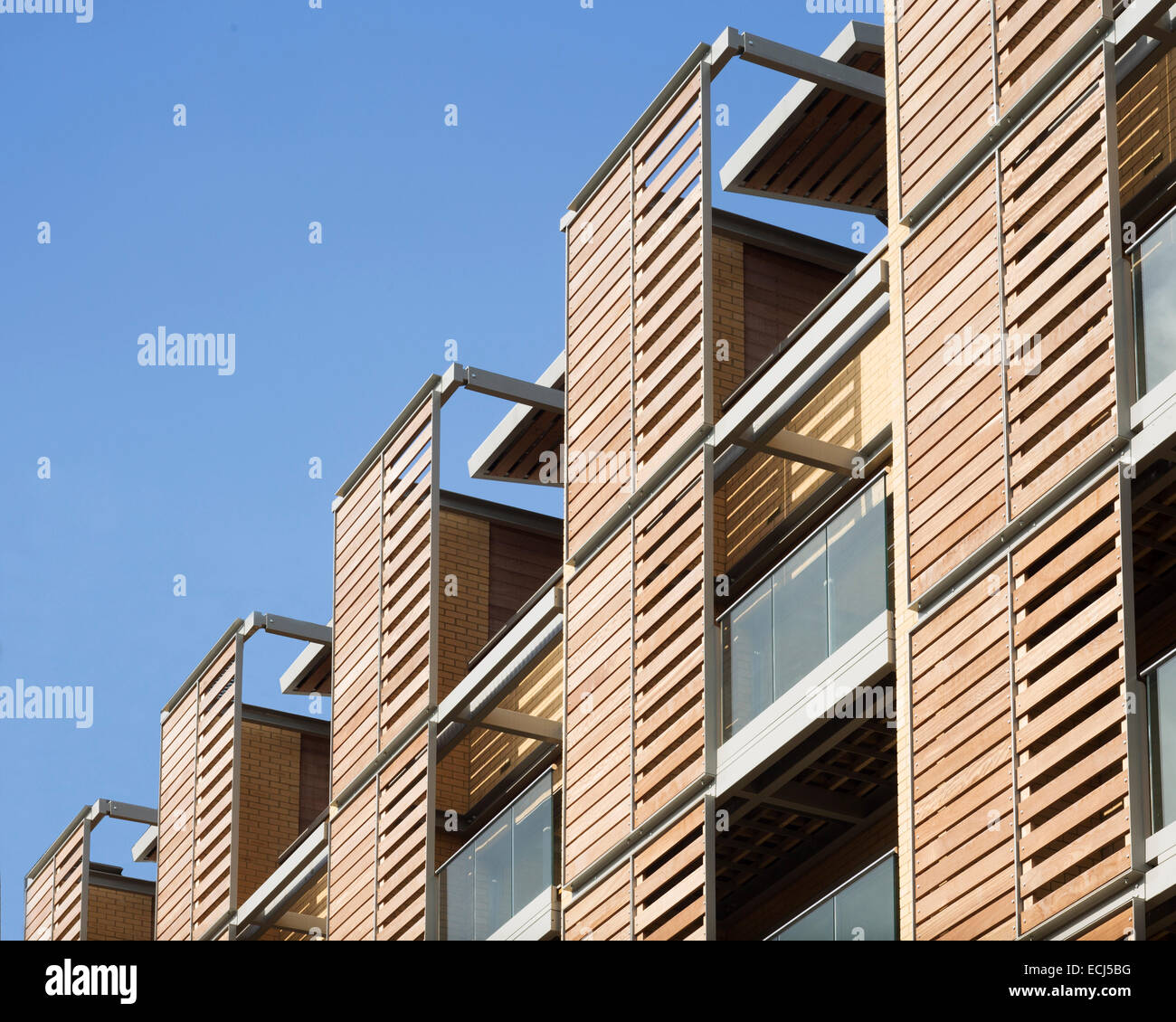 Renaissance scheme High Resolution Stock Photography and Images - Alamy