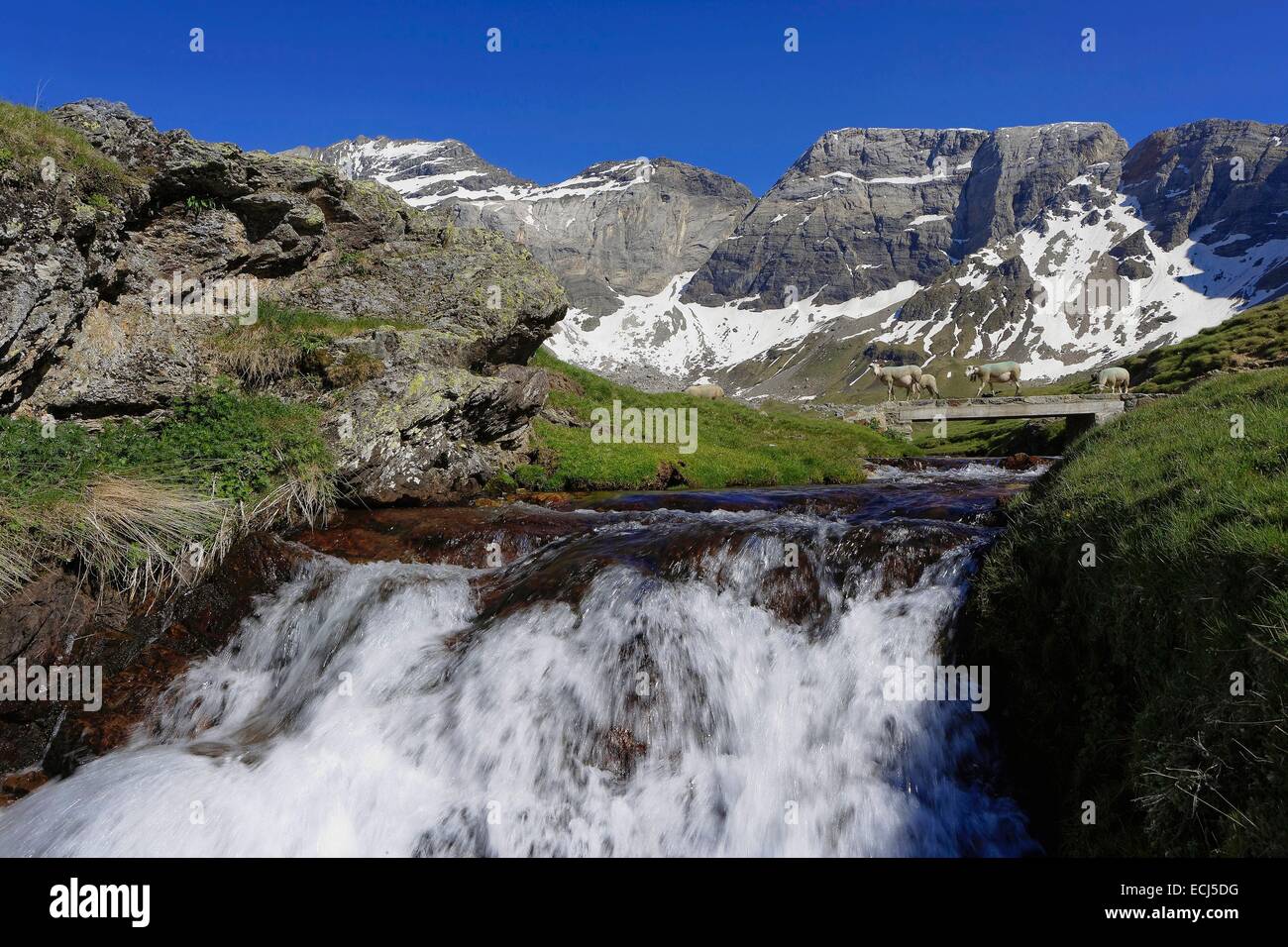 France, Hautes Pyrenees, Pyrenees National Park, the Cirque de ...